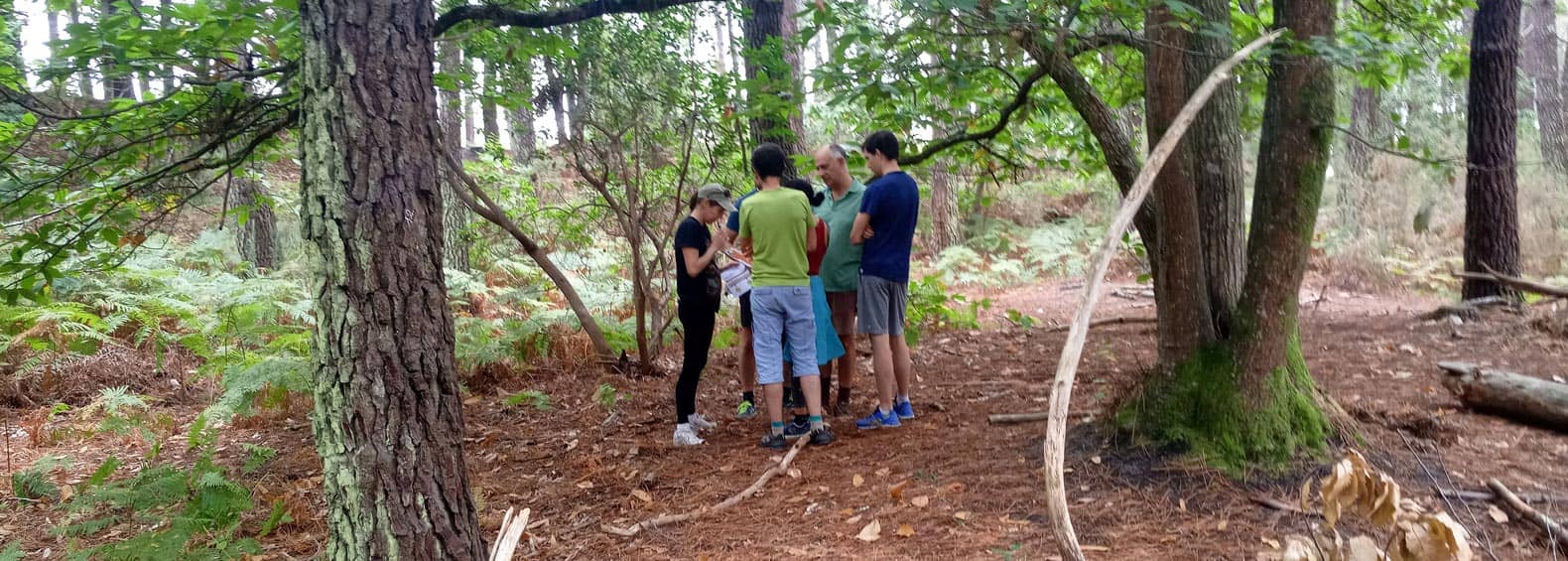 Parcours orientation dans la forêt de Sanguinet | Yakocean